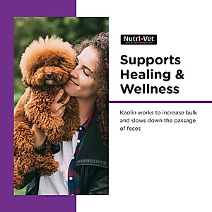 Nutri-Vet Anti-Diarrhea Liquid for Dogs - Helps Sooth Upset Stomach & Stop Diarrhea - Veterinarian Formulated - 4 oz