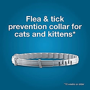 Bayer Seresto Flea and Tick Collar for Cat, all weights, 2 Pack