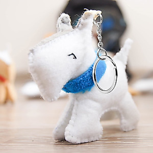 CREST Surgical - Medical - Marine Grade 316L Stainless Steel Key Rings - 5 Pcs ~1inch, 25mm Round Split Key Rings for Keychains - Surgical - Medical - Marine Grade Stainless Steel Keychain Rings