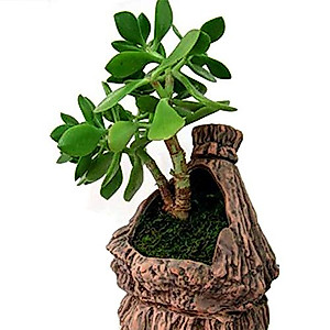 TOPCOMWW Fake Moss for Centerpieces Decor, Aftificial Green Moss for Plant Crafts Flower, 3.5oz