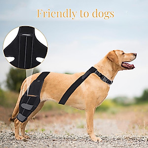 Generic Dog Knee Brace Leg Braces - Dog Canine Knee Stifle Brace Wrap Dog Knee Brace for Torn ACL Hind Leg Joint Pain Muscle Sore Pet Brace Reduces Pain and Inflammation (M), Medium, Black