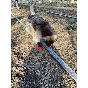 LONSUNEER Dog Boots Breathable Protect Paws Soft Nonslip Soles Set of 4 Size Large Color Red