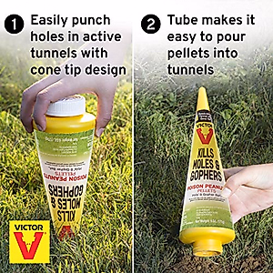 Victor M6006 Outdoor Mole & Gopher Poison Peanuts - Mole and Gopher Bait Killer - 4 Pack