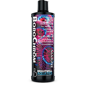 Brightwell Aquatics BoroChrom - Concentrated Boron Solution for Coralline Growth and Red Coloration, 250ml