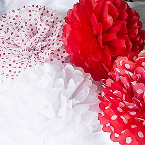ANSOMO Red Tissue Paper Pom Poms Flowers Wall Hanging Party Decorations 12" 10" 8" 6" Pack of 12, Red & White