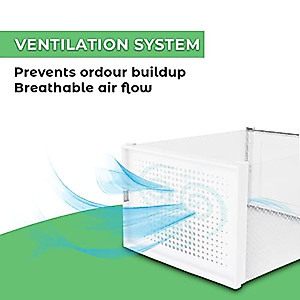 Lanffranchi Shoe Organizer Plastic Storage Boxes-Stackable Rack-Transparent, Ventilation and Dust-proof- sneaker storage for display, Space Saving Bins for Bathroom, Bedroom & Entryway (Medium)