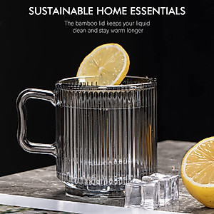 Leadiy Pink Glass Coffee Mug with Lid, Clear Glass Coffee Cups, Classical Vertical Stripes Coffee Mugs for Latte Juice Tea 12.5 Ounces