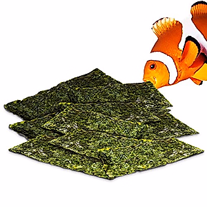 JOR Seaweed Fish Super Snack, Loved by Tangs, Angels, Bettas, Plecos, Hermit Crabs, and Snails, Dense in Vitamins, Beneficial Food Treat Supplement, 1 oz.