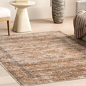 nuLOOM Gwyn Distressed Machine Washable Ultra Thin Area Rug, 6' x 9', Beige