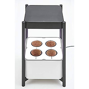 Miracle-Gro Twelve Transplanting Kit, Includes 4 Coir Liners and 4 Large Net Cups - Use Twelve Indoor Growing System - Designed for Growing Plants in Hydroponic Systems (Pack of 2)