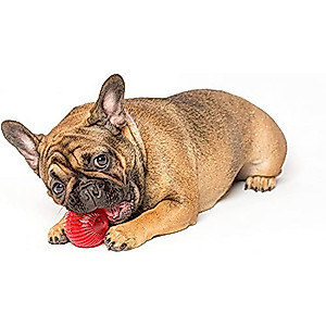 Pet Qwerks Blinky Babble Ball - Flashing Interactive Chew Dog Toy - Small