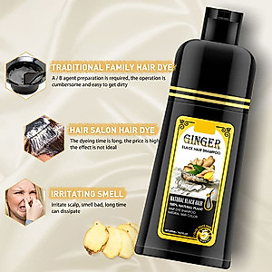 500ml Ginger Black Hair Shampoo, Ginger Shampoo Fast Black Hair Hair Color Dye Nourishing Shampoo, 2-in-1 Semi Permanent Shampoo Last 30 days,5 Minutes Finsh