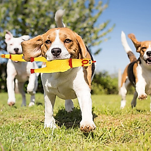 Zddaoole 20 Pcs Rubber Chicken,Screaming Chicken,Squeeze Chicken,Yellow Rubber Squawking Dog Toys,Prank Novelty Noise Toy