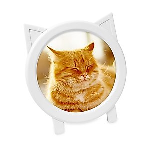 Isaac Jacobs 5x5 Round Resin Sentiment Cat Picture Frame with Ears, Photo Tabletop & Wall Display Hanging Display & Home Décor (White)