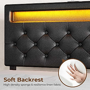 Rolanstar Twin Size Bed Frame with Charging Station and LED Lights, Upholstered PU Leather Bed with Adjustable Headboard and 4 Storage Drawers, No Box Spring Needed, Easy Assembly, Black