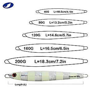 OCEAN CAT 1 PC Lead Metal Flat Slow Fall Pitch Fishing Jigs Lures Sinking Vertical Jigging Bait with Butterfly Hook for Saltwater Fishing Size 40g 80g 120g 160g 200g (Silver, 120g)