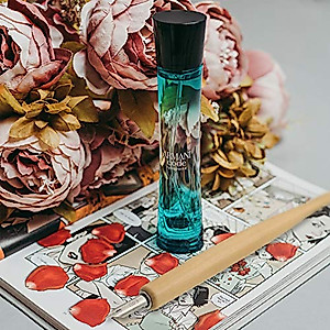 11 Pieces Comic Pen Nib Set, G-Pen Ink Nib Stainless Steel Drawing Comic Pen Nib Calligraphy Nibs with Wooden Comic Pen Nib Holder for Writing, Painting, Signing(White)