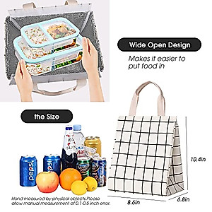 HOMESPON Reusable Lunch Bag Insulated Lunch Box Canvas Fabric with Aluminum Foil, Lunch Tote Handbag for Women,Men,Office (White Plaid)