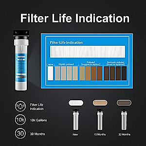 Wingsol Jumbo Under Sink Water Filter Replacement, Reduce 99.99% Lead, Arsenic, Chlorine, Remineralize & Alkalize Water, 10K Gallons Long-lasting, 5-in-1, Compatible with WS-US-001 Jumbo advanced (F)