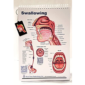 Speech Language Pathology SLP Charts Complete Series with QR Codes for Animation with Mini Head Model, Swallowing, Brain, Larynx, Lungs, Speech Articulation, Voice and More