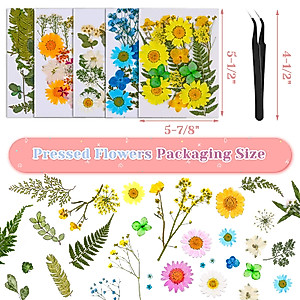 102 PCS Dried Flowers for Resin Molds, Natural Dried Pressed Flower Leaves Bulk for Jewelry Making Kit Real Dry Herbs for Scrapbooking, Candle, Soap Making, Nail Décor, Art Supplies,Tweezers Included