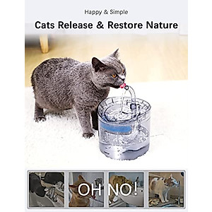 HAPUP Cat Water Fountain Animal Water Dispenser 61OZ/1.8L Automatic Pet Drinking Fountain Clear Upgrade with 2 Filter Replacement 1 Adjustable Silent 1 Water Pump for Cats Kitty Indoor