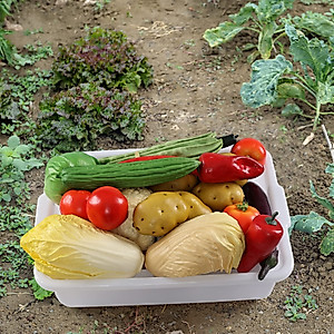 Morcte 3-Pack 13 L Commercial Bus Box, Plastic Bus Tub/Wash Basin, White