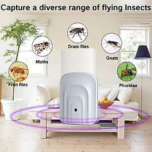 Indoor UV Light Fly Trap with 10 Glue Boards - Effective Plug-in Bug Trap for Houseflies and Gnats - Odorless and Mess-Free Fly Control Solution