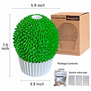 Miwoowim Catnip Feeder - Cat Face Scratcher Wall Corner Massage Comb for Indoor Cats Self Grooming Brush (Green)