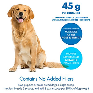 Equa Holistics Green Lipped Mussel Powder for Dogs, All-Natural Hip & Joint Support Dietary Supplement Formula for Dogs (120 Servings)