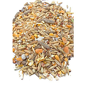 Pampered Chicken Mama Backyard Chicken Feed with Black Soldier Fly Larvae Grubs Soy Free & Herbs (10 Pounds) Non-GMO Layer Pellets: High Protein All-Natural Grower Feed Supplies for Laying Chickens