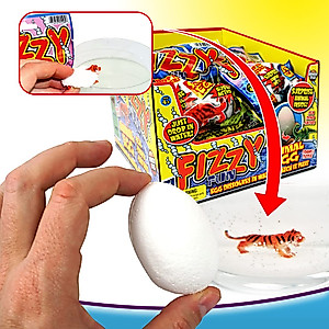 JA-RU Fizzy Egg Surprise Toys (12 Eggs) w/Surprise Mystery Dinosaur & Sea Animal Toy. Like Kids Bath Bombs. Fun Shower & Bath Toys for Boys & Girls. Bathbombs Easter Egg Basket Toy. 5505-12p