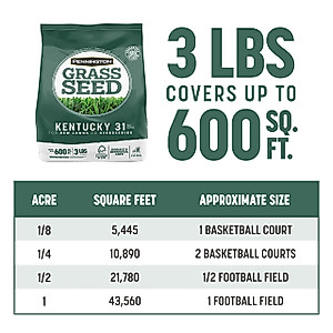 Pennington Kentucky 31 Tall Fescue Penkoted Grass Seed 3 lb, Green