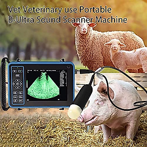 Ultrasound Scanner Veterinary for Pregnancy, Vet Digital Portable B-Ultra Sound Scanner Machine Farm Animals Pet with 3.5 Mhz Mechanical Probe 8 Color Panels for Sheep, Dog, Cat And Pig Pregnancy Test