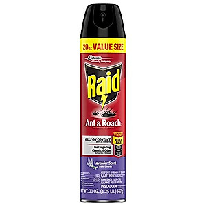 Raid Ant & Roach Killer Spray for Listed Bugs, Keeps Killing for Weeks, Lavender Scent, 20 oz (4 Cans)
