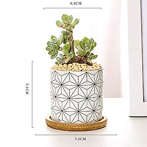 FURLOU Pottery Planter,Small Plant pots,Geometric Pattern Ceramic Succulent Small Ceramic Pot Ceramic Flower Green Plant Container Planter Classic Round Shape Planter Beautiful Scenery Flower