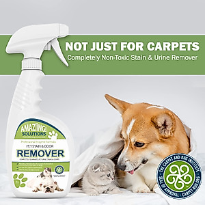 Amaziing Solutions Pet Stain and Odor Remover - Enzyme Cleaner, Pet Urine Odor Eliminator Spray - Floor & Carpet Cleaner Spray, Pet Deodorizers For Home, Fabric Spray W/Fresh, Clean Scent, 32oz Spray