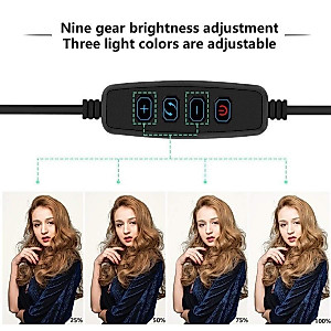 Fealay 26cm Studio Live Led Ring Light With Phone Holder 120cm Ring Light Kit Foldable Tripod Kit Adjustable 360 Rotation for Phone Selfie Light Beauty Photograph