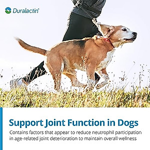 PRN Duralactin Canine Soft Chews - Joint Health Supplement for Dogs and Puppies - Chicken-Liver Flavored Canine Chews Containing Dried Milk Protein - 60-Count Bottle