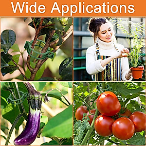 Tomato Clips for Climbing Plants, Upgrade Secured Plastic Plant Clip, Tomato Trellis Clips for Plants Support, Plastic Plant Clips for Tomatoes Vines Gardening Supplies
