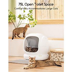 MeoWant Self-Cleaning Cat Litter Box, 75L Extra Large Open Automatic Cat Litter Box for Multi Cats, Integrated Safety Protection/APP Control/Odor Removal Smart Litter Box with Mat & Liner