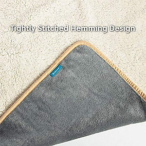 Bedsure Waterproof Dog Blankets for Small Dogs - Small Cat Blanket Washable for Couch Protection, Sherpa Fleece Puppy Blanket, Soft Plush Reversible Throw Furniture Protector, 25"X35", Grey