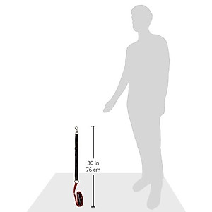 PetSafe Happy Ride Dog Zipline - Back Seat Leash, Great for Travel Red 72 IN