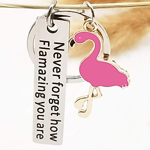 NAKUMICHA Flamingo Gifts for Women，Motivational Flamingo Keychain Never Forget How Flamazing You are, Bff Gifts for Women, Key Organizer Flamingo Lover BFF Animal Lovers Gift for Women Girls,Red