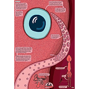 Under Water, Under Earth