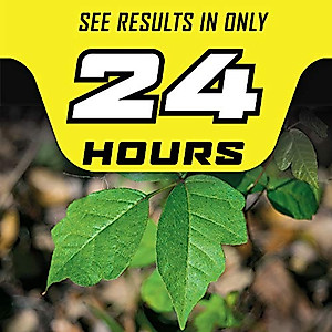 Ortho GroundClear Poison Ivy & Tough Brush Killer - Ready to Use with Comfort Wand, Poison Ivy Killer, Also Kills Poison Oak, Kudzu, Wild Blackberry, Vines & More, 1.33 gal.