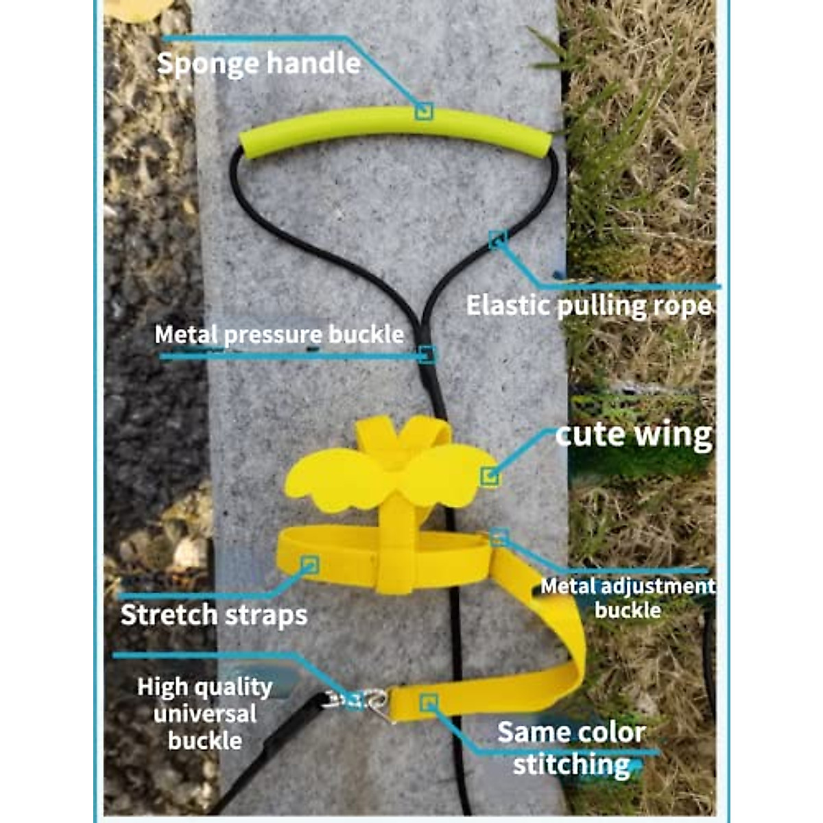 Pet Parrot Bird Harness Leash Adjustable Bird Flying Harness Traction Rope with Cute Wing for Parrots Pigeons Budgerigar Lovebird Cockatiel Mynah Outdoor Training Toy (S, Blue)