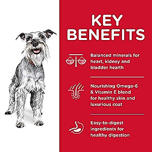 Hill's Science Diet Dry Dog Food, Adult 7+, Senior Dogs, Small Paws for Small Breeds, Chicken Meal, Barley & Brown Rice Recipe, 4.5 lb Bag