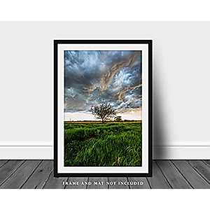 Great Plains Photography Print (Not Framed) Vertical Picture of Tree Under Stormy Sky on Spring Day in Kansas Prairie Wall Art Nature Decor (4" x 6")