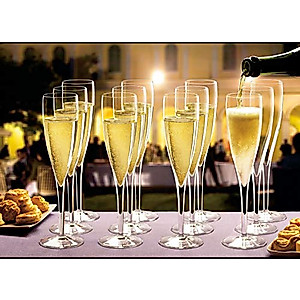 Luigi Bormioli Styles 6 oz Sparkling Wine Glasses (Set Of 2), Clear